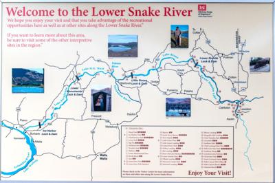 Conservation groups intend to ask judge to breach Snake River dams ...