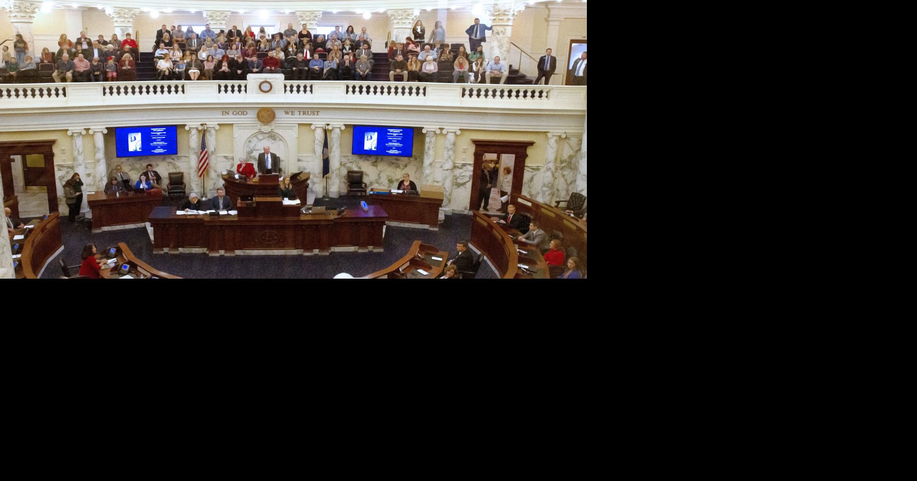 Senate passes law banning Idaho entities from declaring sanctuary ...