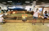 Idaho Reptile Zoo: a family-run sanctuary for rescued reptiles | Local ...