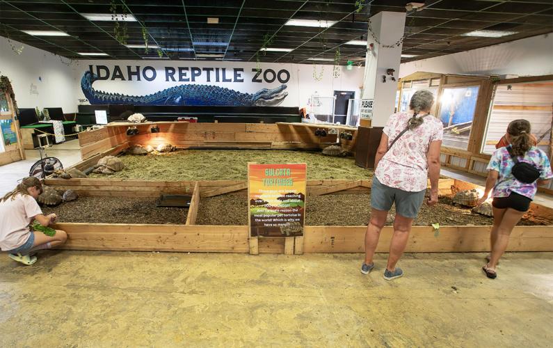 Idaho Reptile Zoo: a family-run sanctuary for rescued reptiles | Local ...