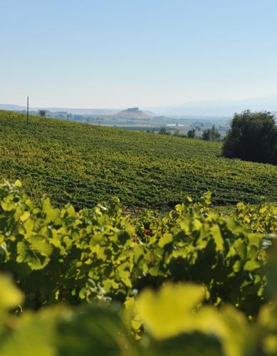 Lizard Butte | 101 | idahopress.com