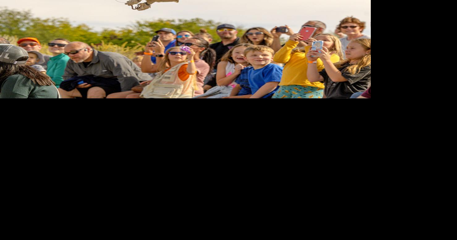 Look — up in the sky: The World Center for Birds of Prey holds soaring ...