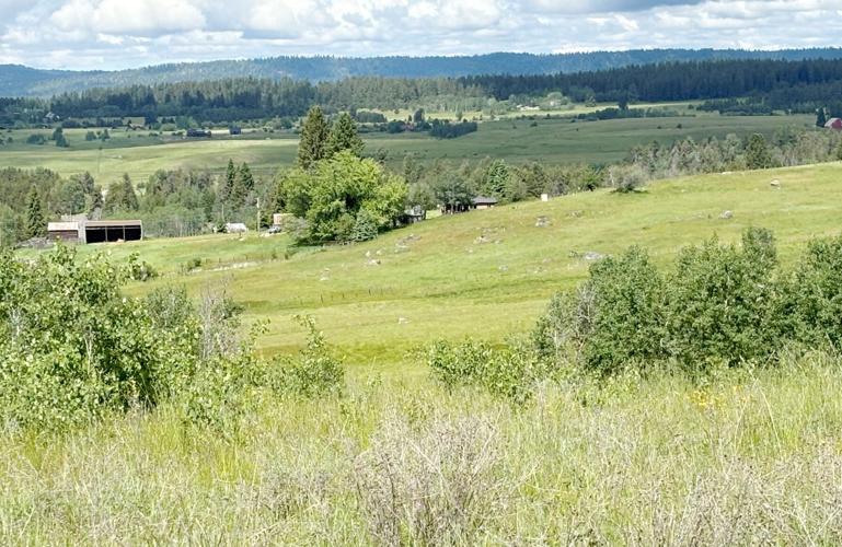 Century Ranch Award presented to Shaw Homestead Ranch | Emmett ...