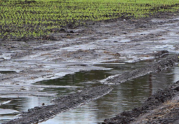 April showers take a rain check | Local News | idahopress.com