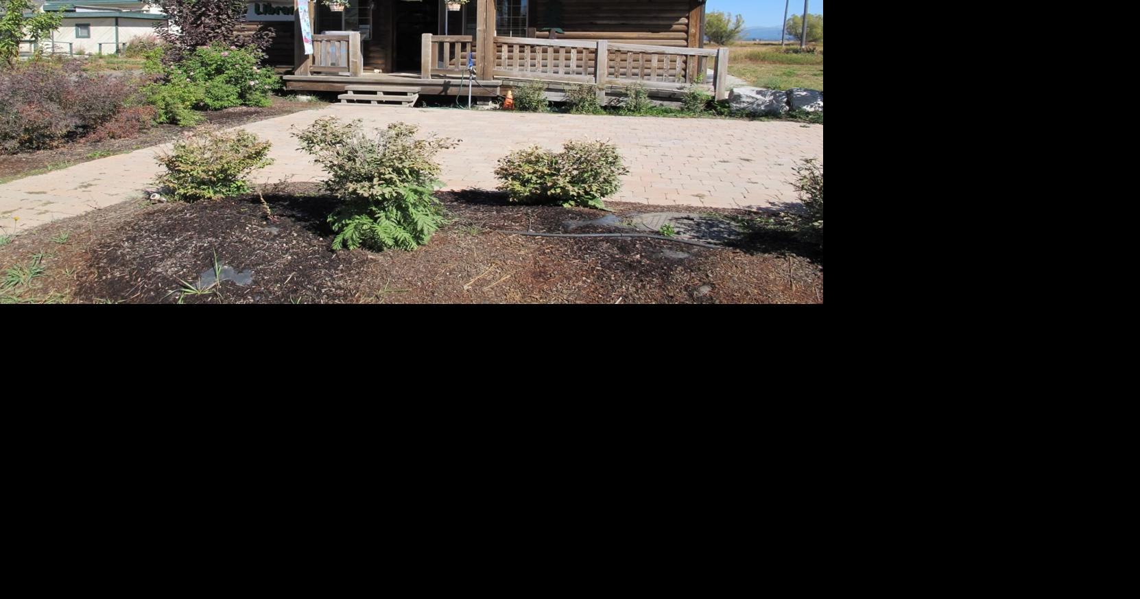 Idaho public library announces it will become adults-only library ...