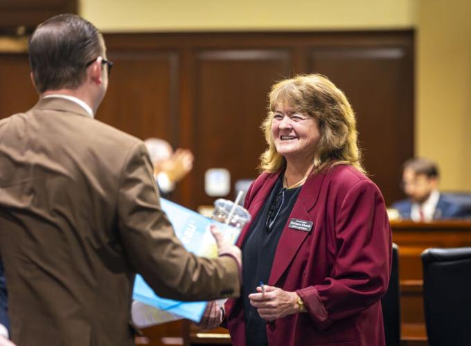 Idaho Legislature’s panel looks to reform child custody laws | Local ...