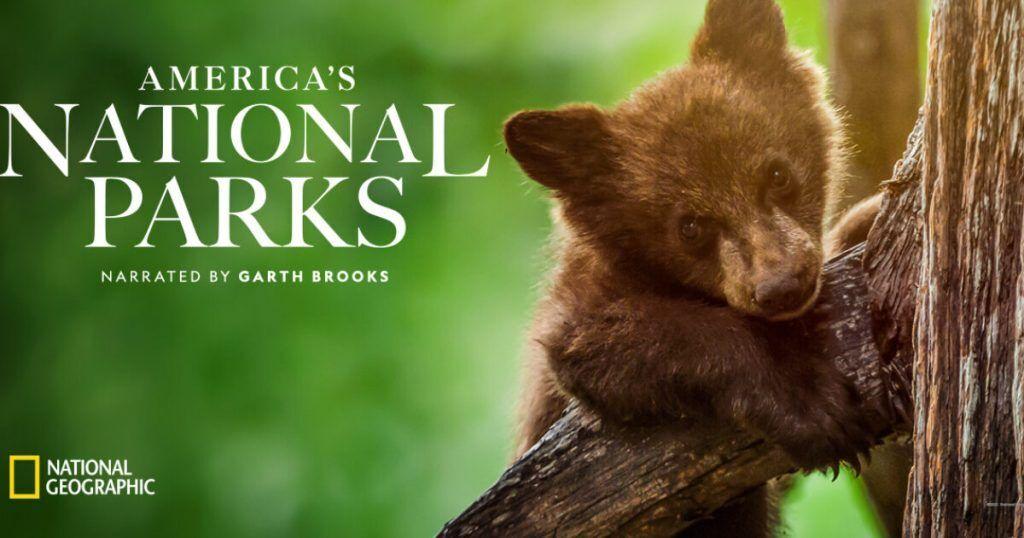 Treasure Valley T.V. Talk: 'Alone" post-mortem exclusive with Karie Lee ...