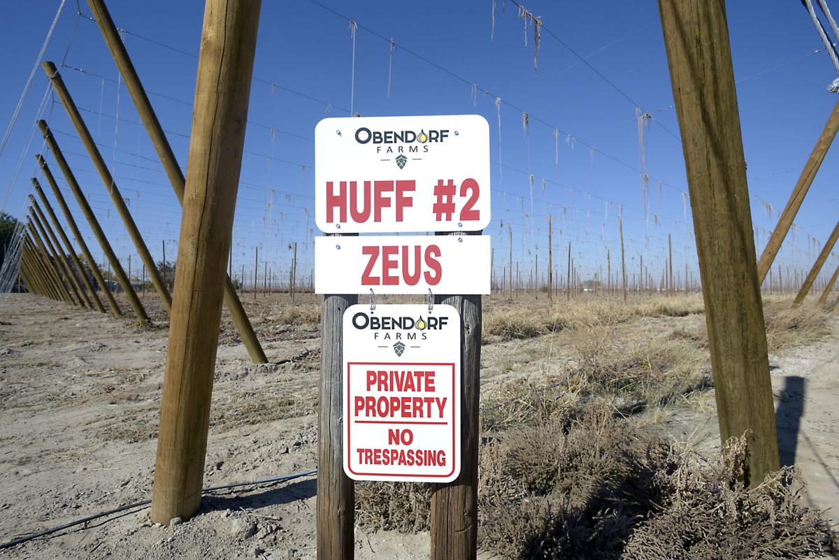 Farmworker housing shortage has growers looking to build | Local News ...