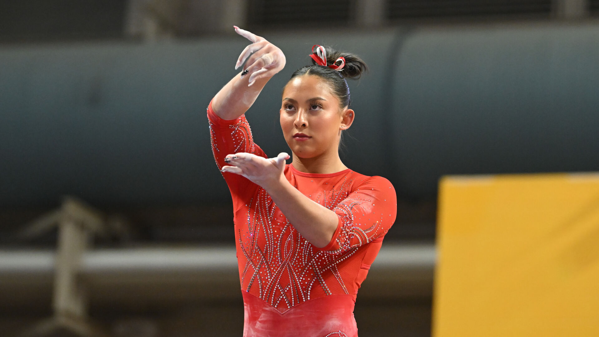 Arkansas Women's Gymnastics | National Sports | idahopress.com