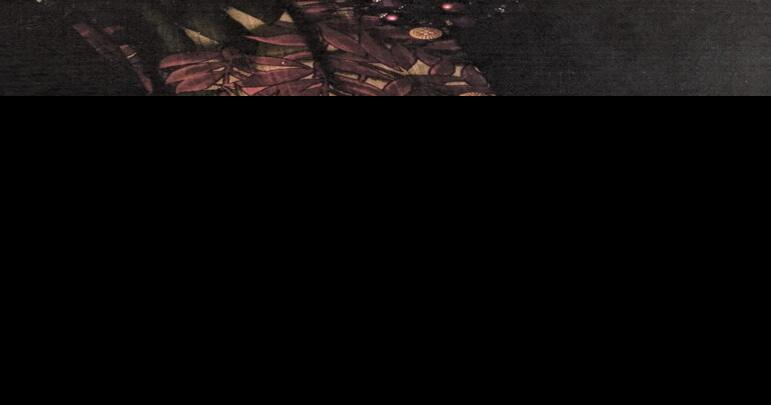 Happy 90th birthday, Catherine Springer Johnson! | Life | idahopress.com