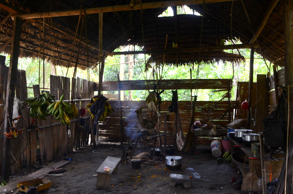 One hour in a remote Amazon village | Idaho Press Blogs | idahopress.com