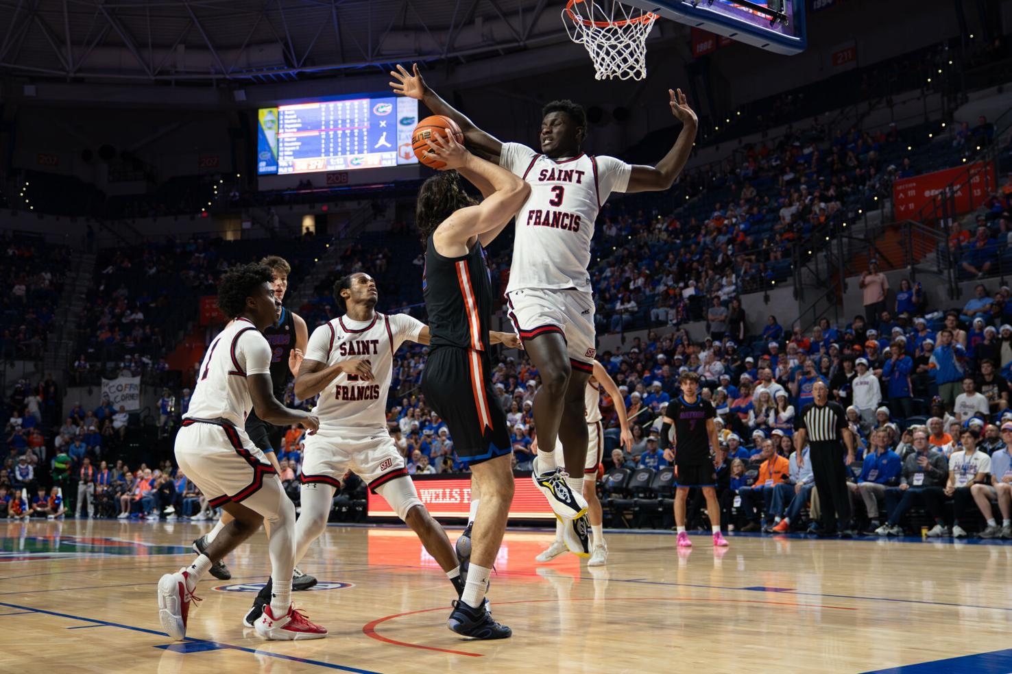 Saint Francis Florida Basketball | National Sports | idahopress.com
