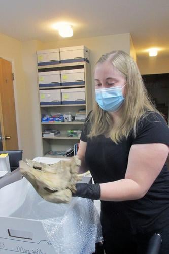 Wasden collection of Ice Age discoveries near Idaho Falls finds home at ...