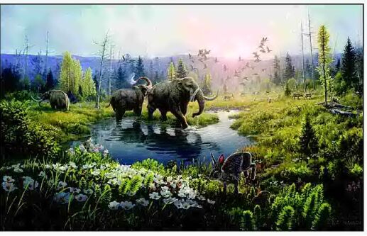 'Broader picture' | | idahopress.com