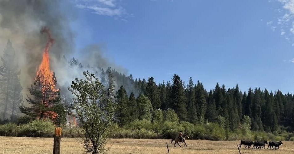 Evacuation orders lifted in many wildfire areas of Idaho | Local News ...