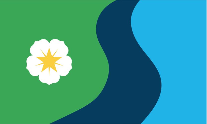 Voting now open for new Boise flag | Local News | idahopress.com