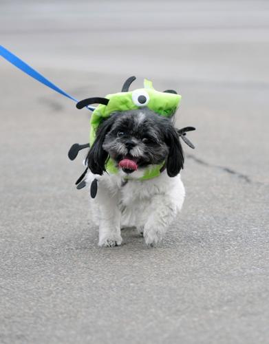 Halloween Nampa and Caldwell | Photo Gallery | idahopress.com