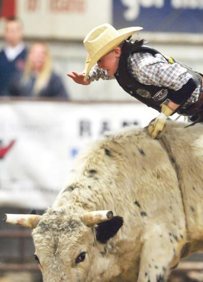 Celebrators enjoy bull riding and country swing | Local News ...