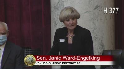 Senate passes HB 377 on 27-8, near-party-line vote | Eye on Boise ...