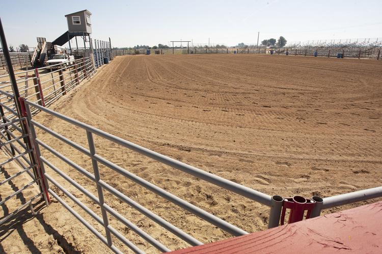 'A hive of activity': Final preparations underway for Kuna Rodeo ...