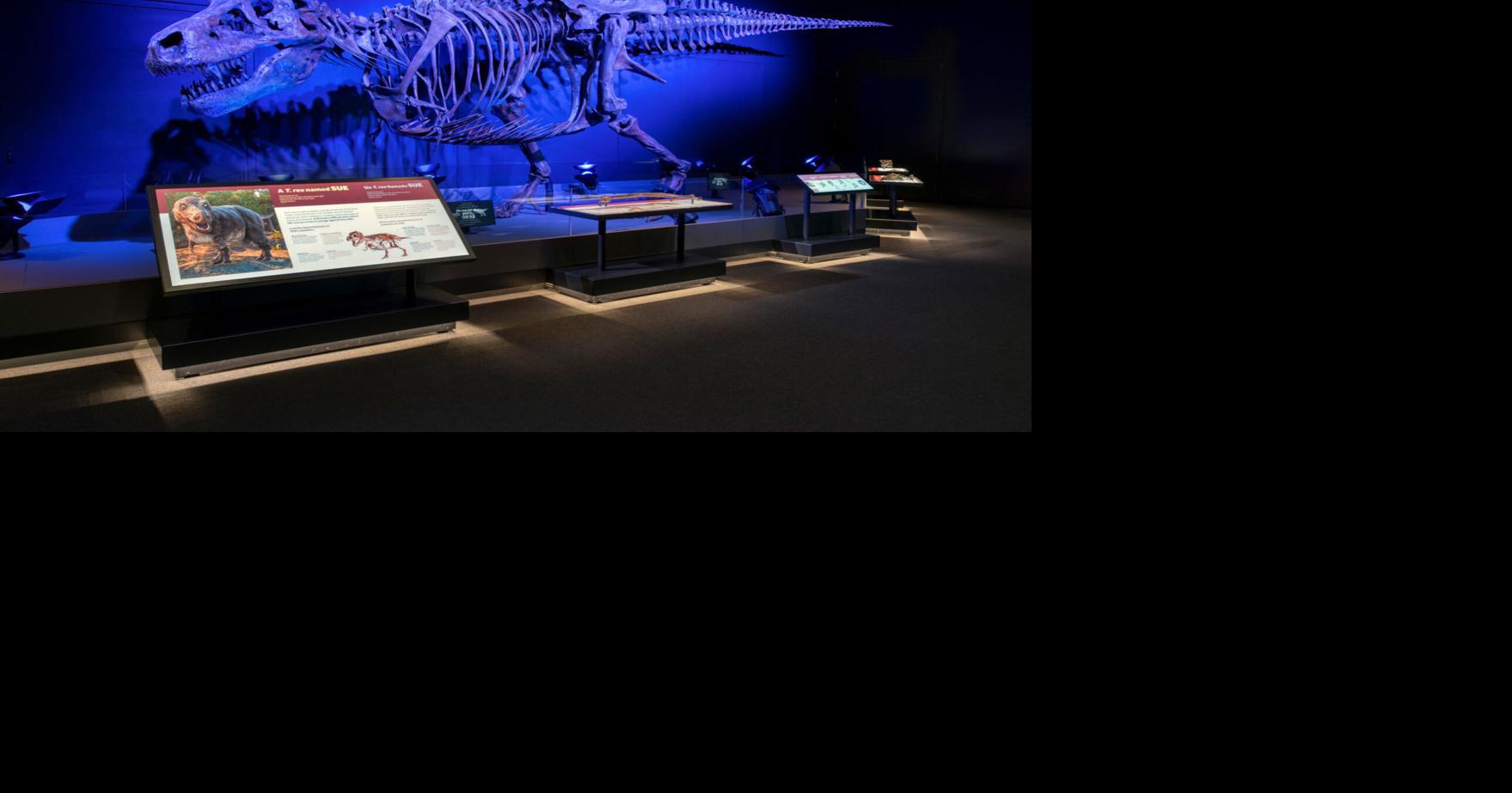 Sue the T-rex roars back to Idaho | Rec & Sports | idahopress.com