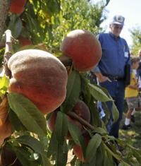 University of Idaho extension centers: What do they do? | Complete news ...