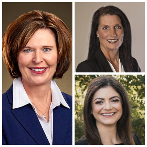 Three Idaho Republican women launch organization to preserve access to ...