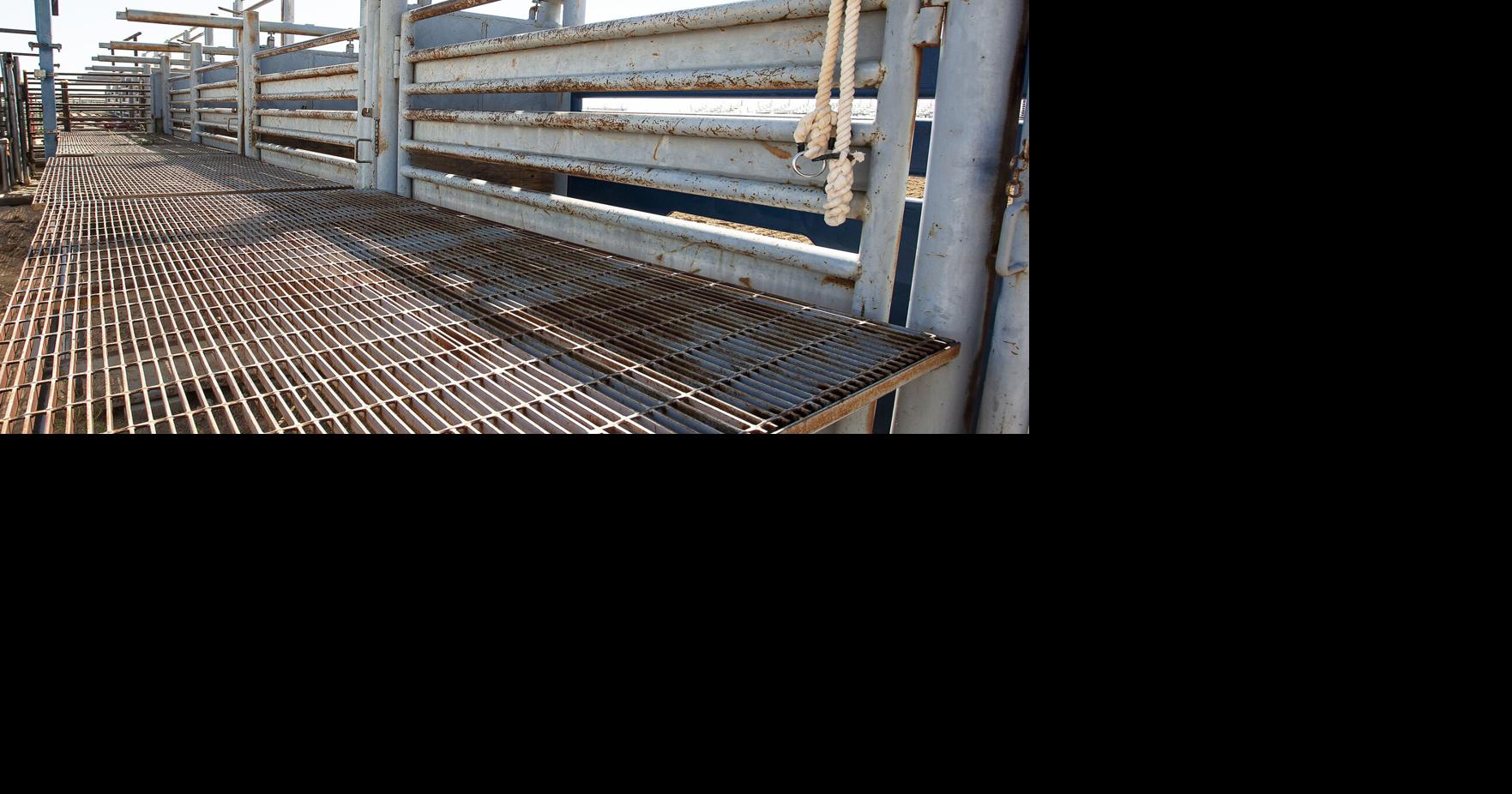 Kuna Rodeo preview | | idahopress.com