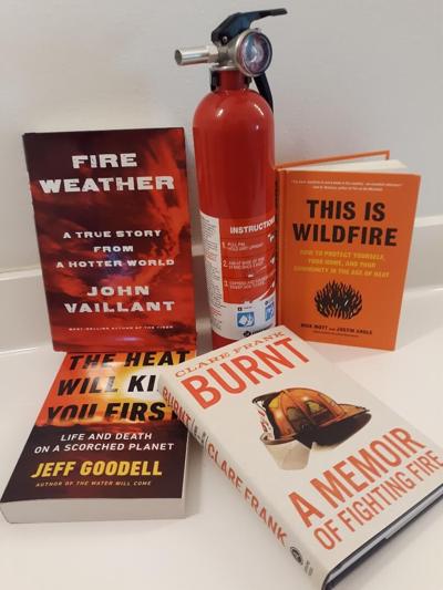 The Bookworm Sez: No better time to start learning about fires ...