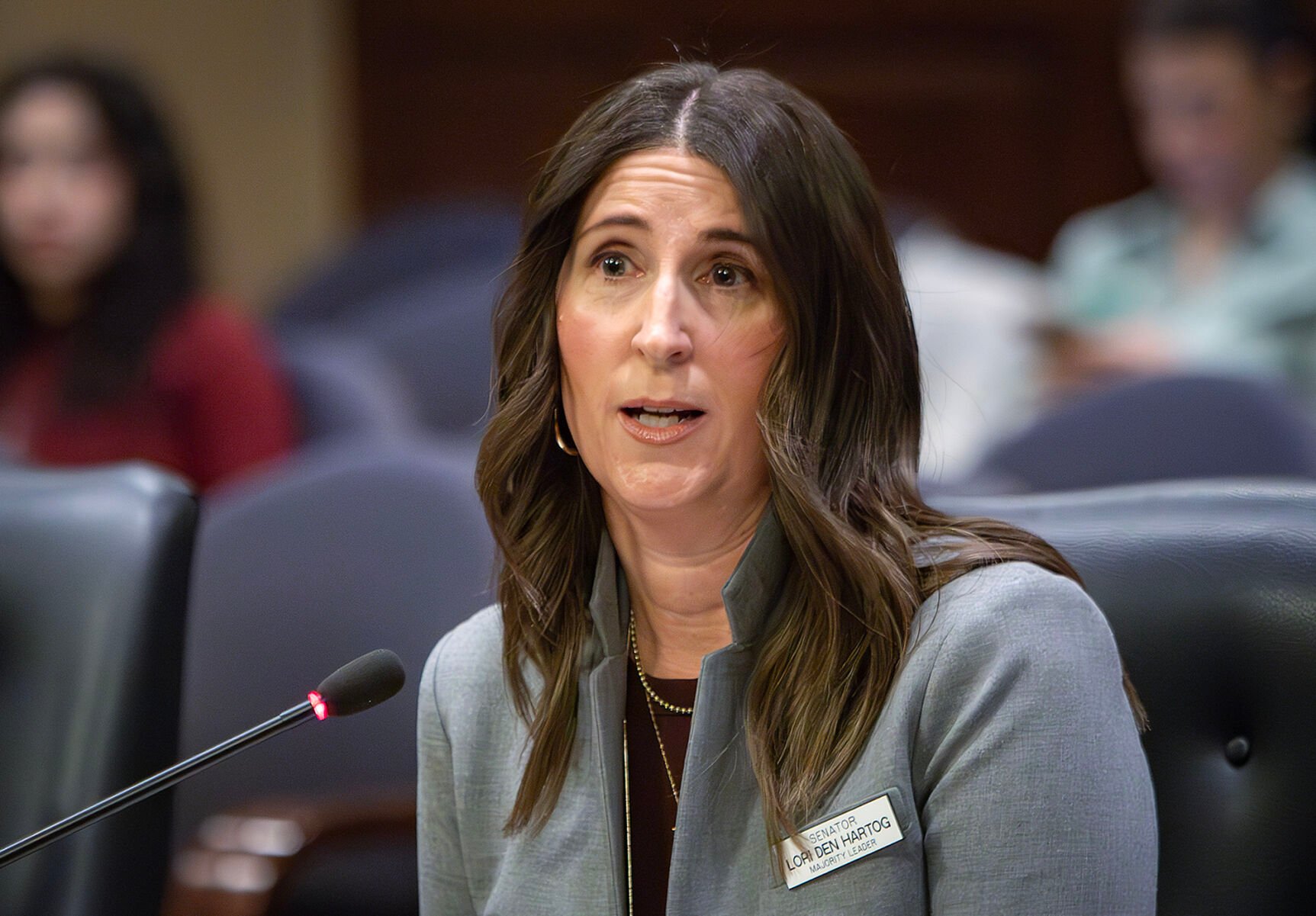 Legislation targeting ACHD seeks to implement county-wide, partisan races | Local News ...