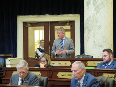 Three nominees named to replace Erpelding in Idaho House | Local News ...