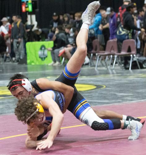 Fruitland just misses out on team title at Rollie Lane Invitational ...