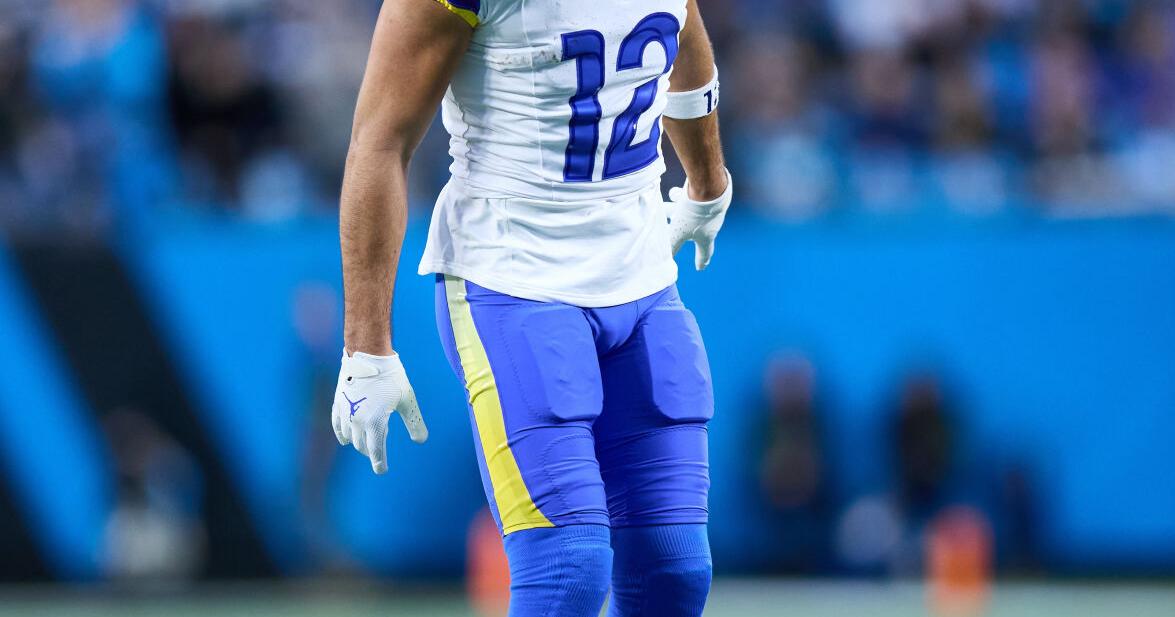 Rams Panthers Football | National Sports | idahopress.com