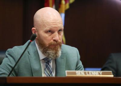 Legislative committees introduce term limit resolution, voter affidavit ...