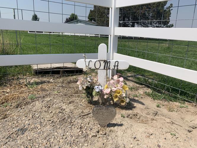 A crash took his wife and his way of life. How former coach Jim Bittick ...