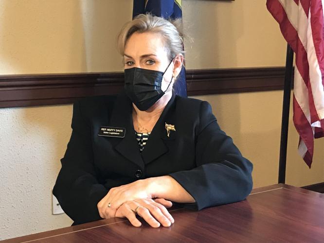 House rejects remote-voting motion on party-line vote | Local News ...