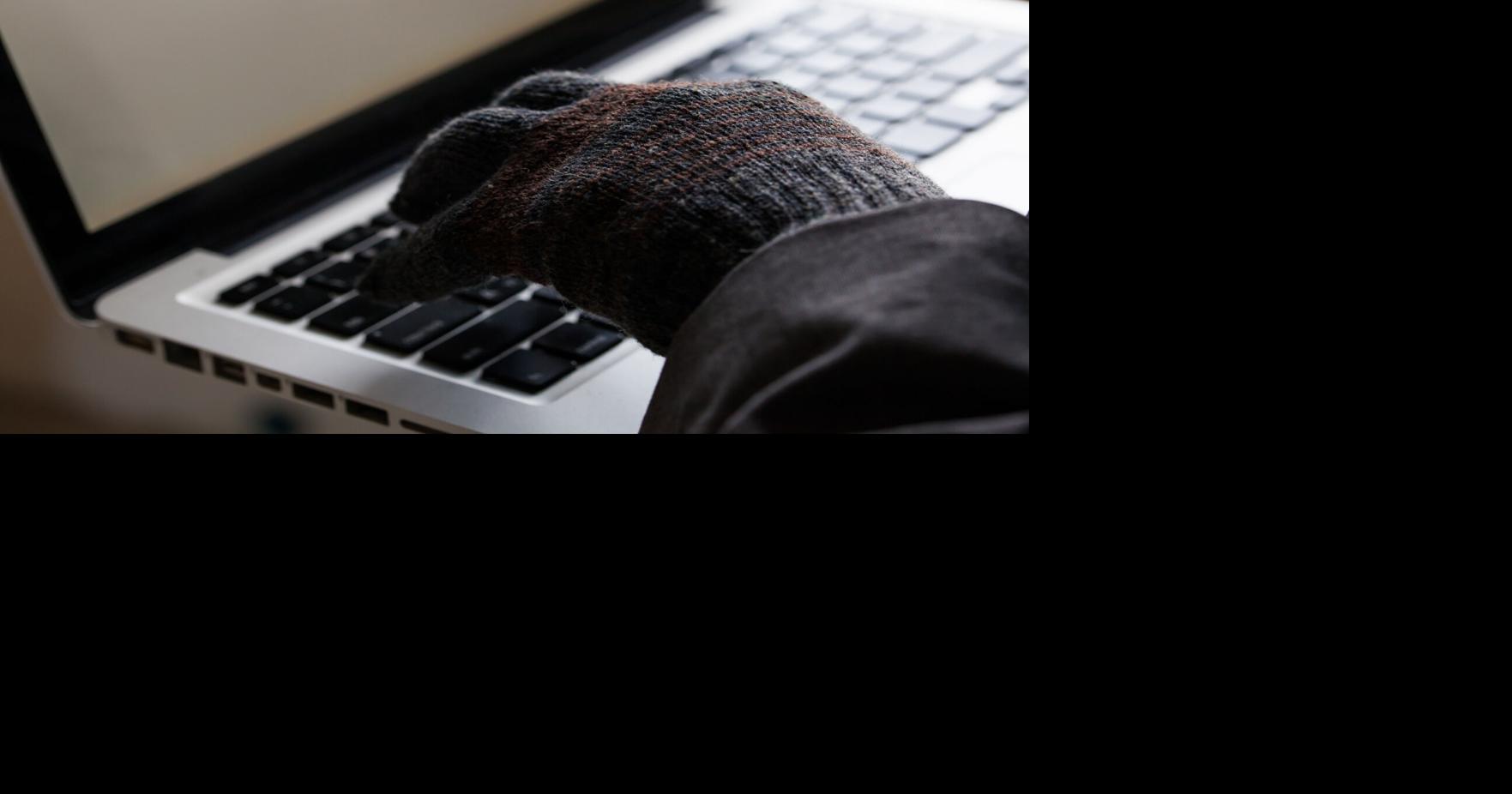 Meridian man sentenced to 10 years in prison for cyber crimes | Local ...