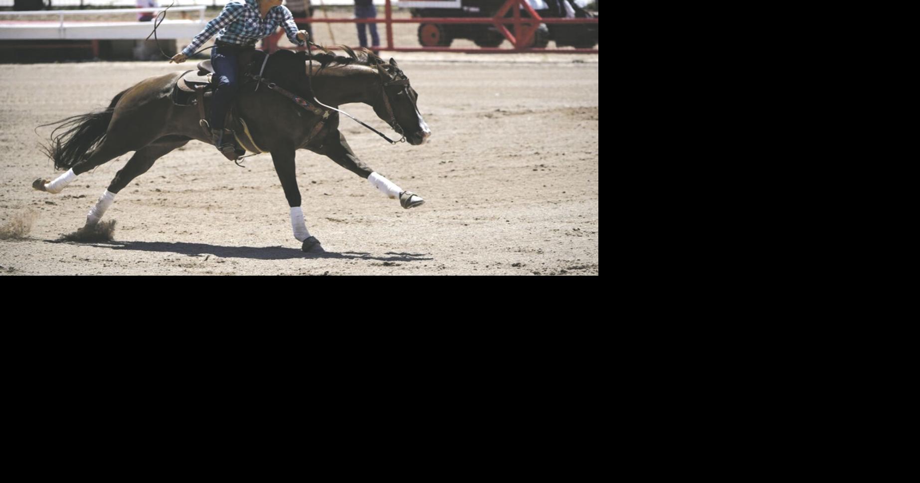 Top-rated Caldwell barrel racer enters Night Rodeo | Farm & Ranch ...
