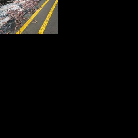 Slime eels spill onto highway in multi-vehicle crash | Local News ...