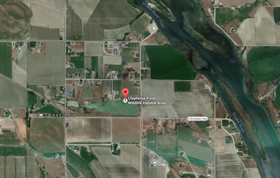 Teen found in Marsing pond was from Nampa | Local News | idahopress.com