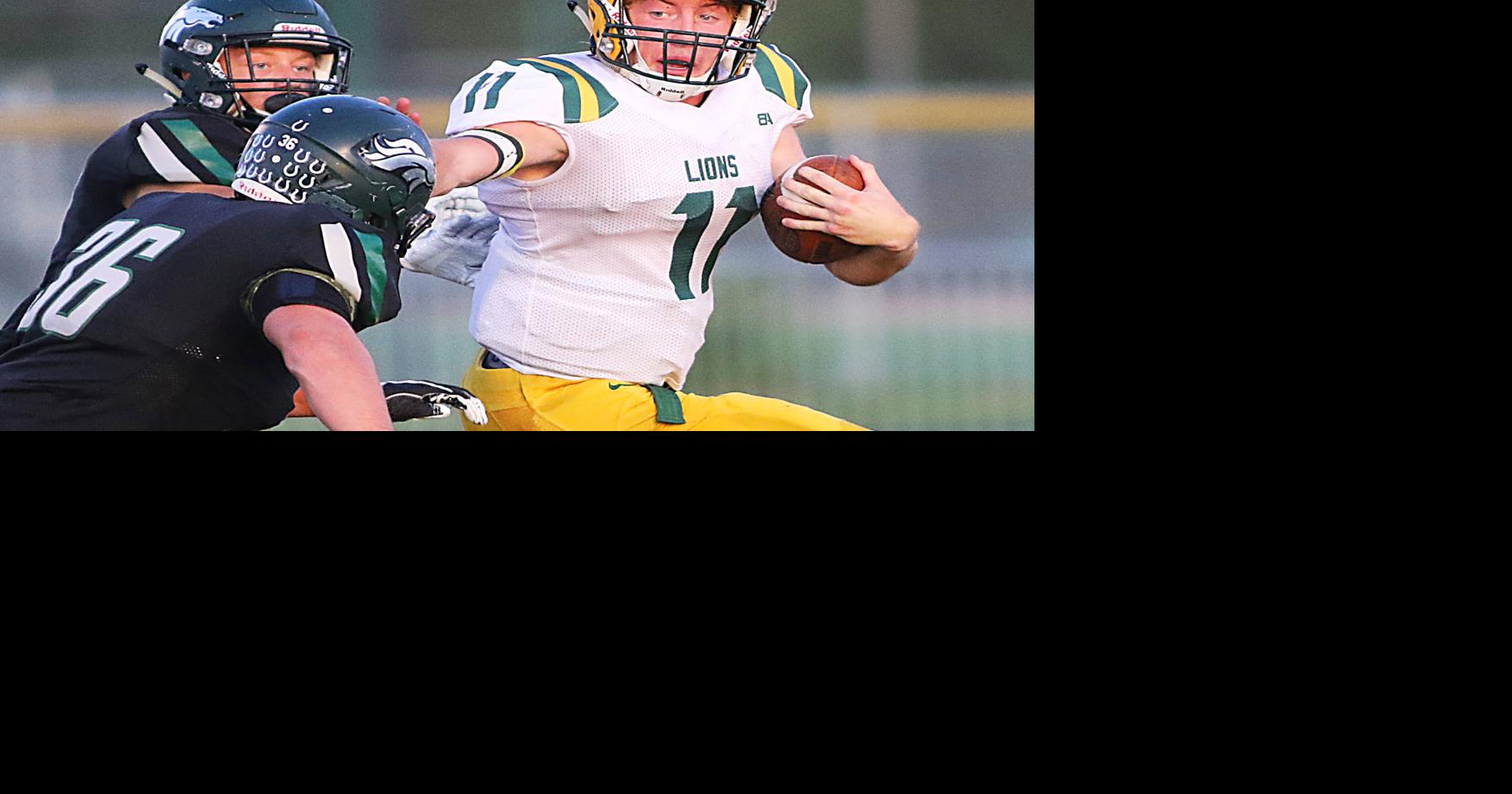Austin Bolt making smooth transiton as Borah's starting QB | High ...