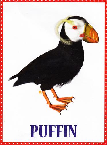 The 12 Days of Cookies countdown — Puffin Sugar Cookies | Life ...