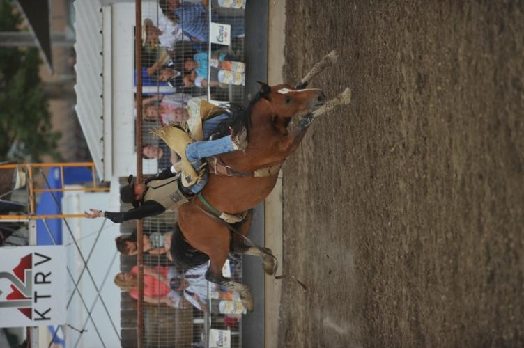 Owyhee County Rodeo | Sports | idahopress.com