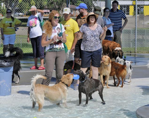 Pooch Pool Party | Idaho Press-Tribune Multimedia Gallery | idahopress.com