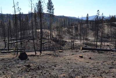 Pony, Elk Complex burn areas reopened | State news | idahopress.com