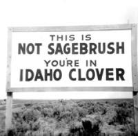 Stinker signs are back! | Community | idahopress.com