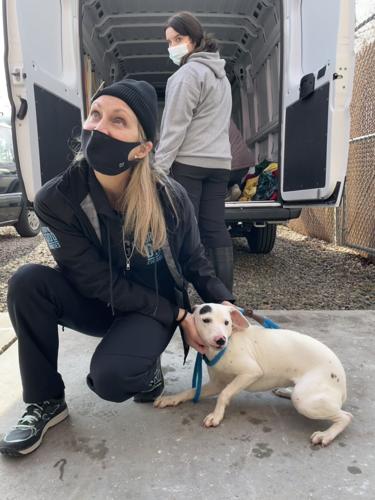 Good Day: Canine airlift gets tails a-wagging | Community | idahopress.com
