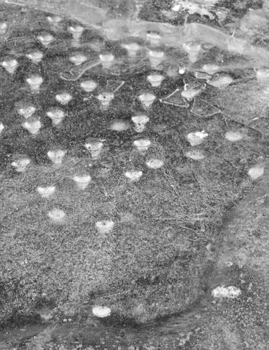 Moments of Dark Lucidity: Photographs by Sue Schaper | Arts & Culture ...