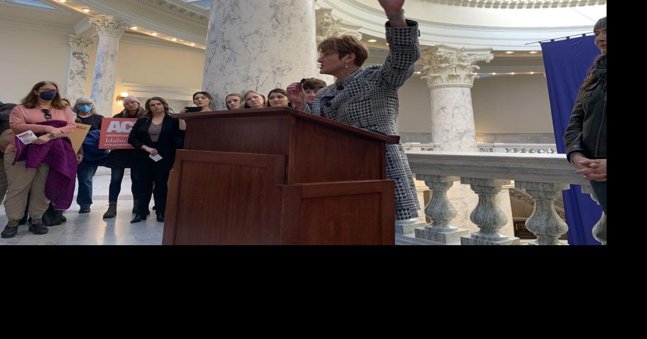 Capitol press conference hailed Roe v. Wade, railed against Idaho ...
