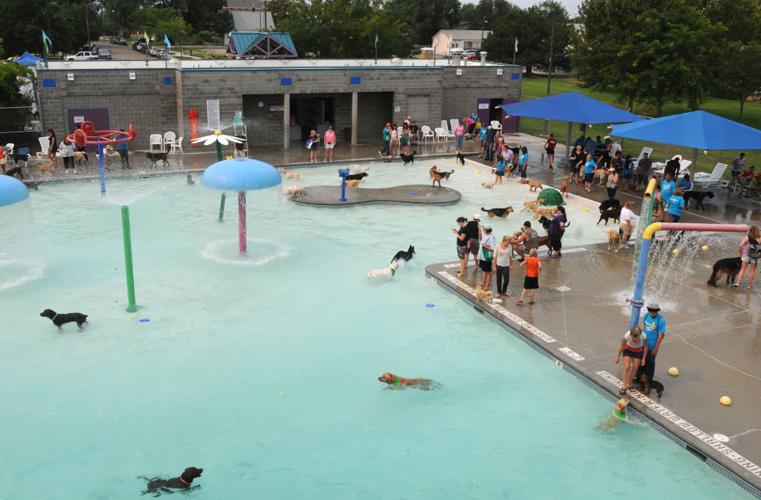 Pooch Pool Party | Photo Gallery | idahopress.com